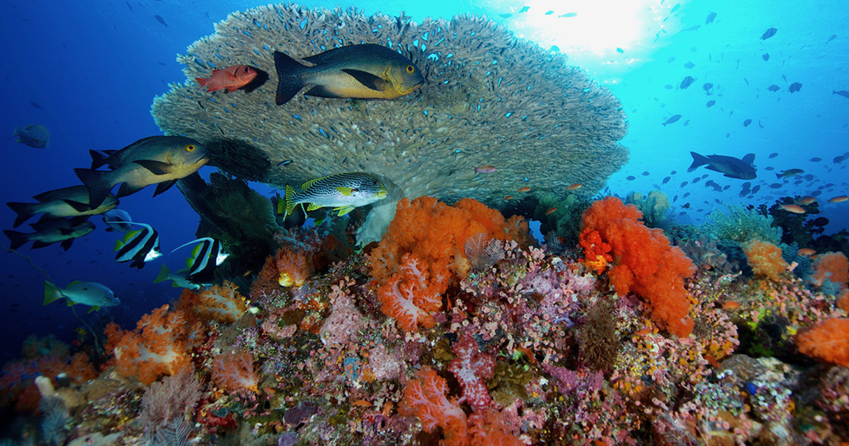 UNEP | The United Nations Office at Geneva