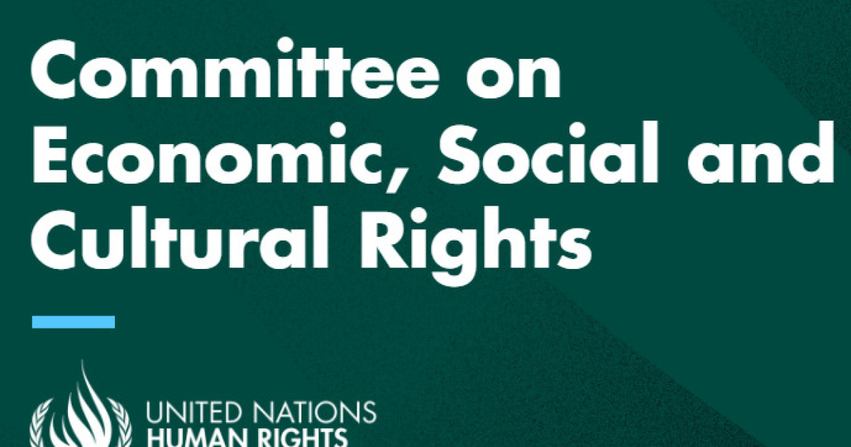 Experts of the Committee on Economic, Social and Cultural Rights ...